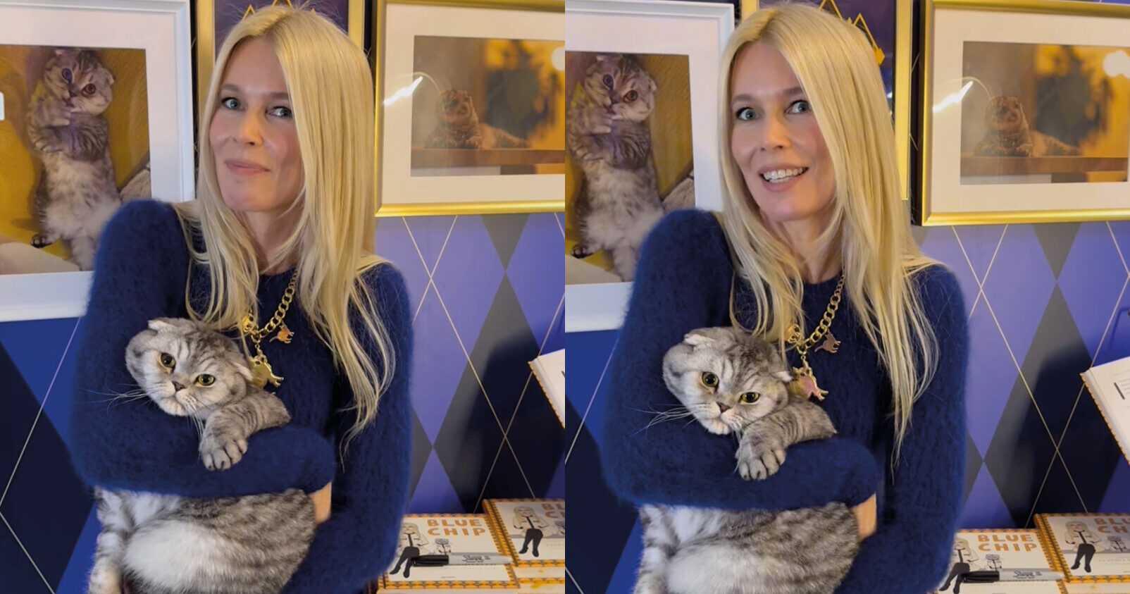 De kat van Claudia Schiffer is een nieuwe filmster : Amayzine.com